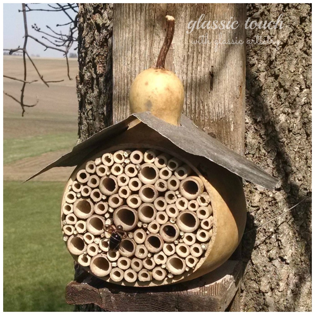 Gourd Bee/Bug House – glassic touch